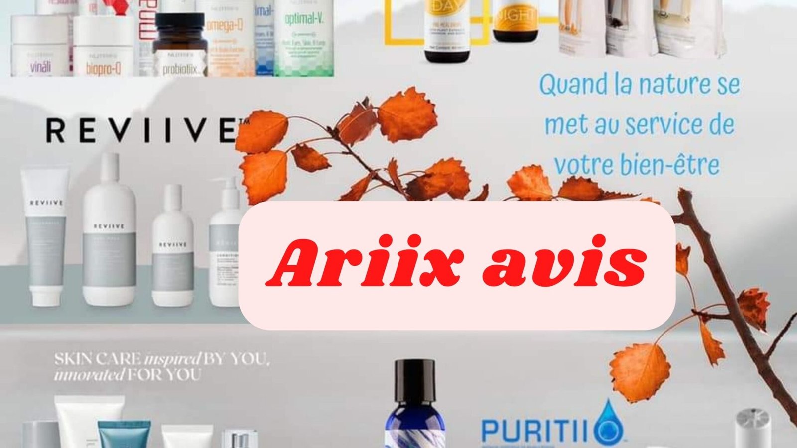 Vinali ariix avis : Tu risques d'être choqué